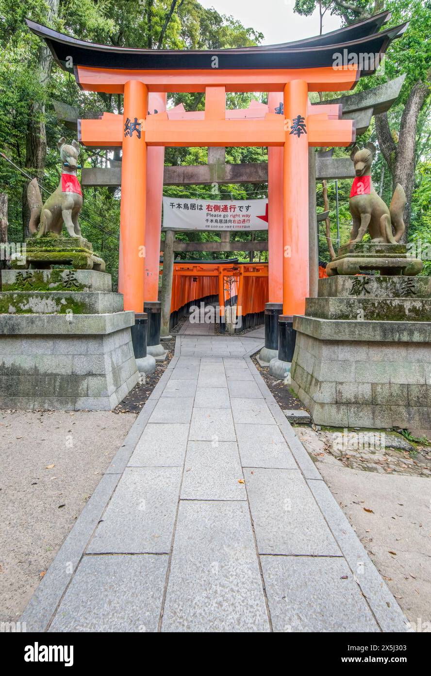 Japan, Kyoto. Fushimi Inari Grand Shrine, One Thousand Gates Stock ...