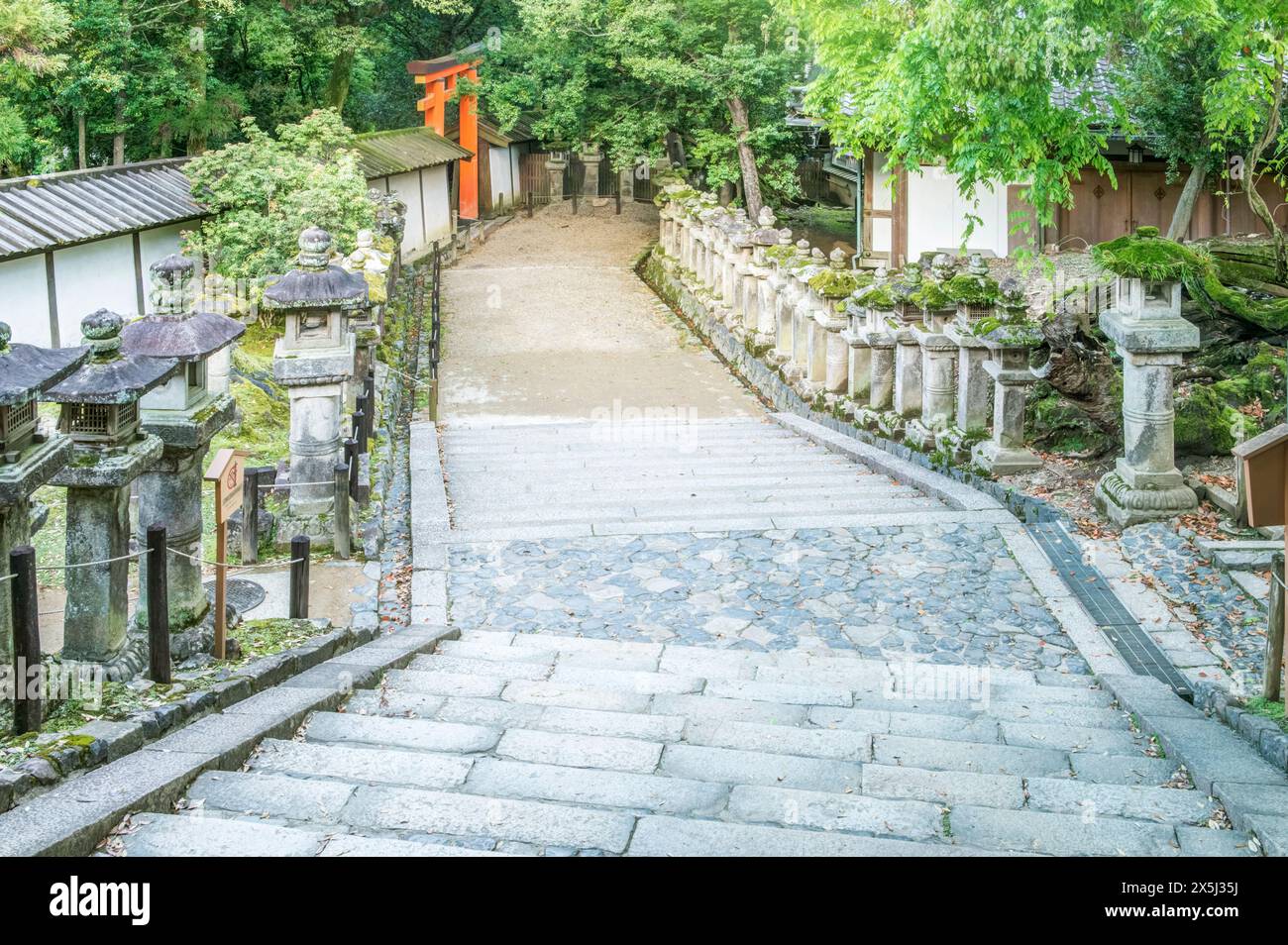 Japan, Nara. Kasuga Shrine Stock Photo - Alamy