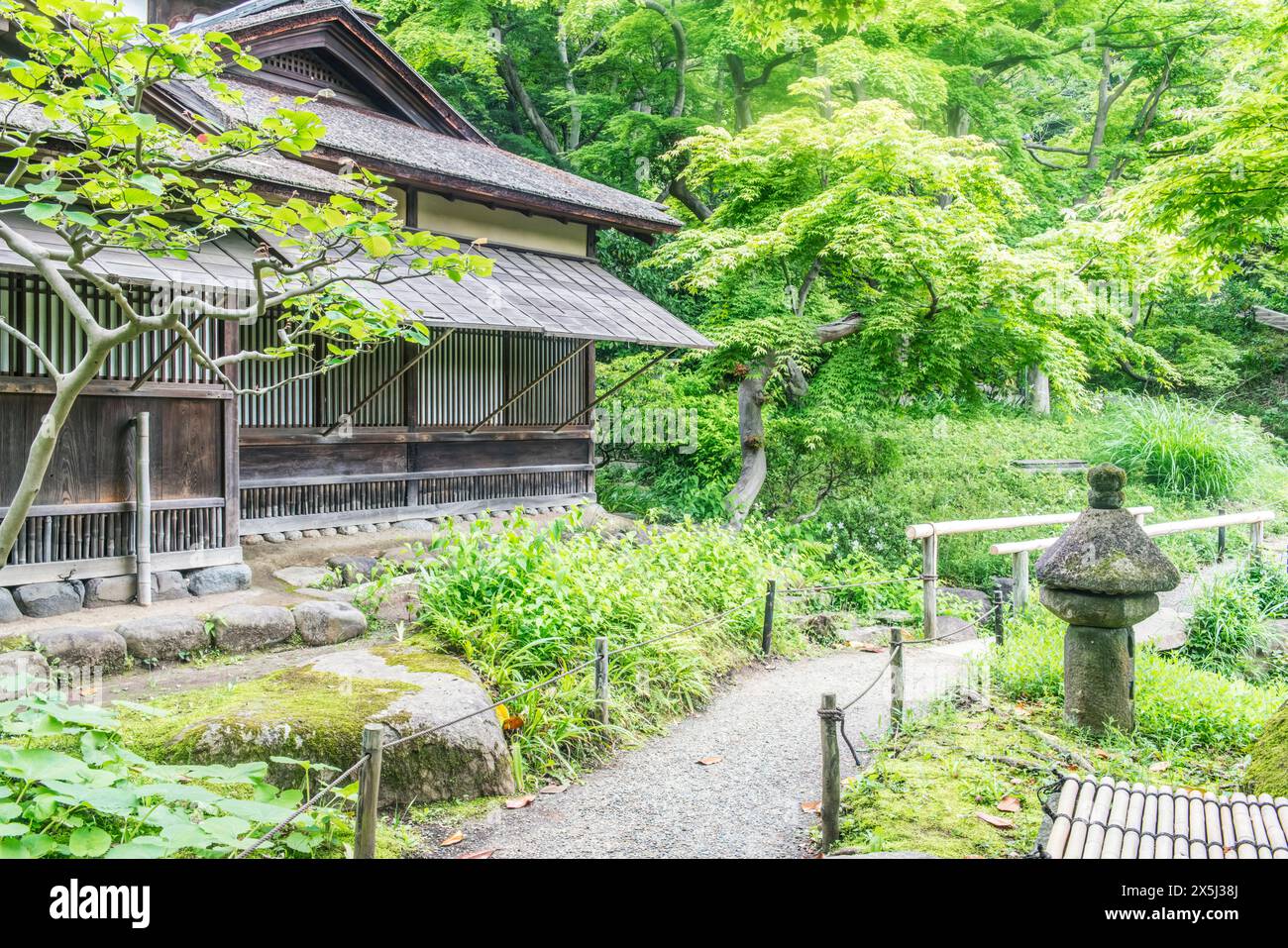 Japan, Yokohama. Sankei-en Garden Stock Photo - Alamy