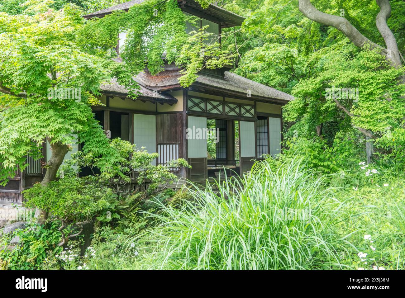 Japan, Yokohama. Sankei-en Garden Stock Photo - Alamy