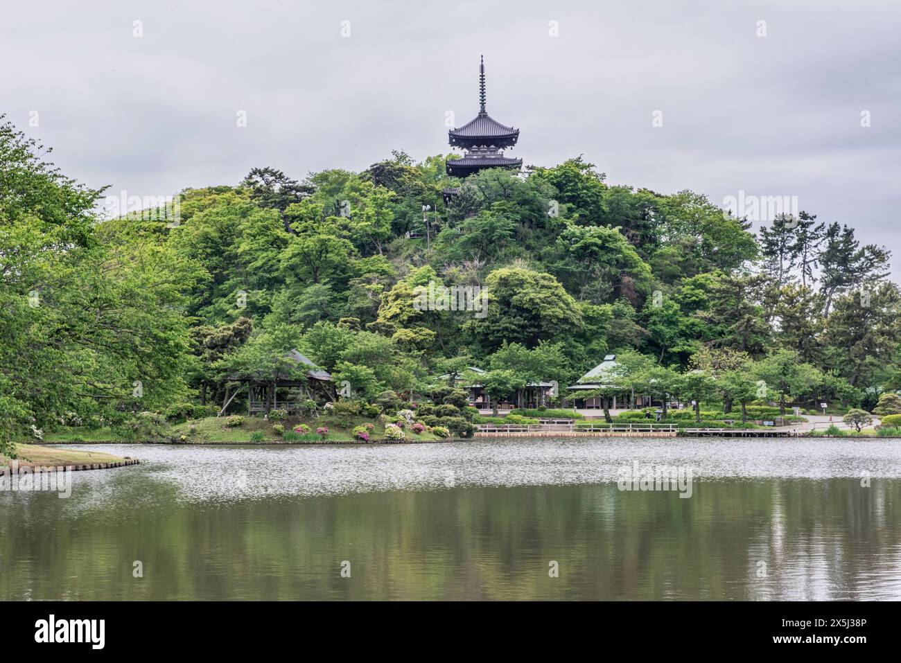 Japan, Yokohama. Sankei-en Garden Stock Photo - Alamy