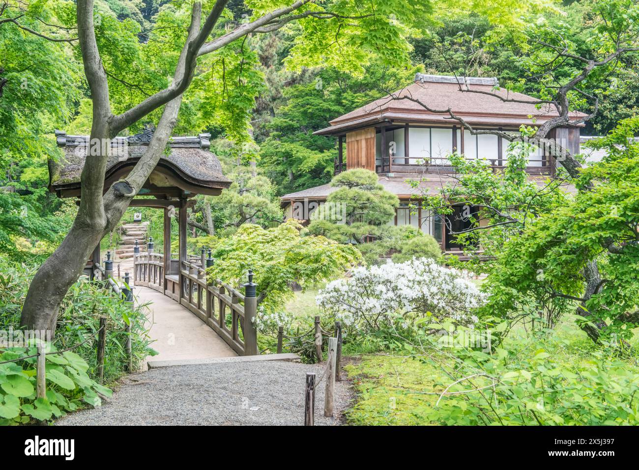 Japan, Yokohama. Sankei-en Garden Stock Photo - Alamy