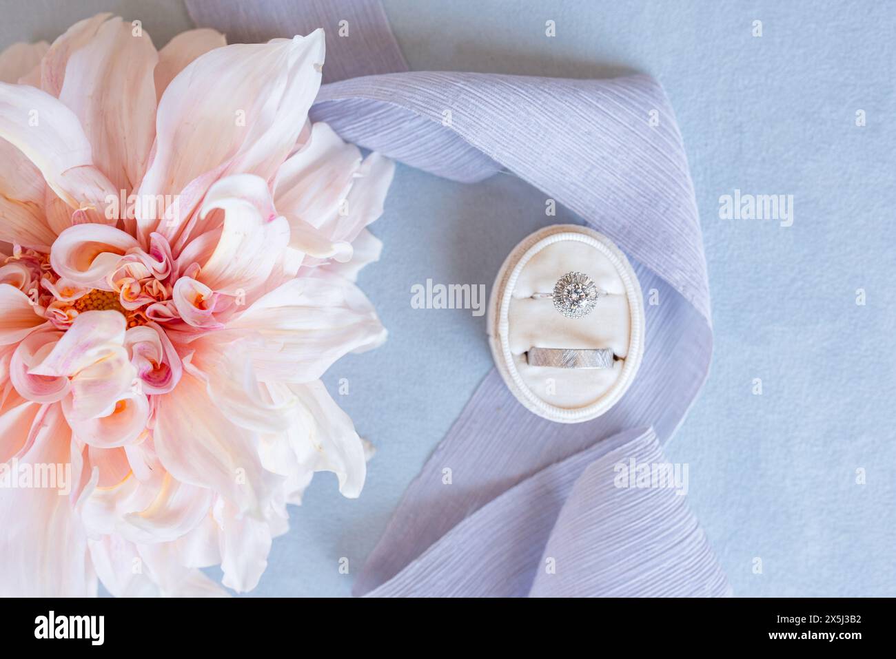 Diamond and platinum wedding rings styled with a purple ribbon Stock ...