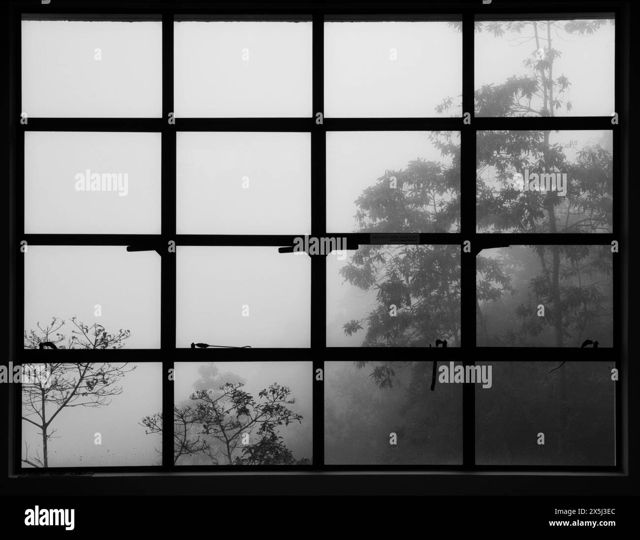View through window pane with trees, fog and mist in background. Black ...