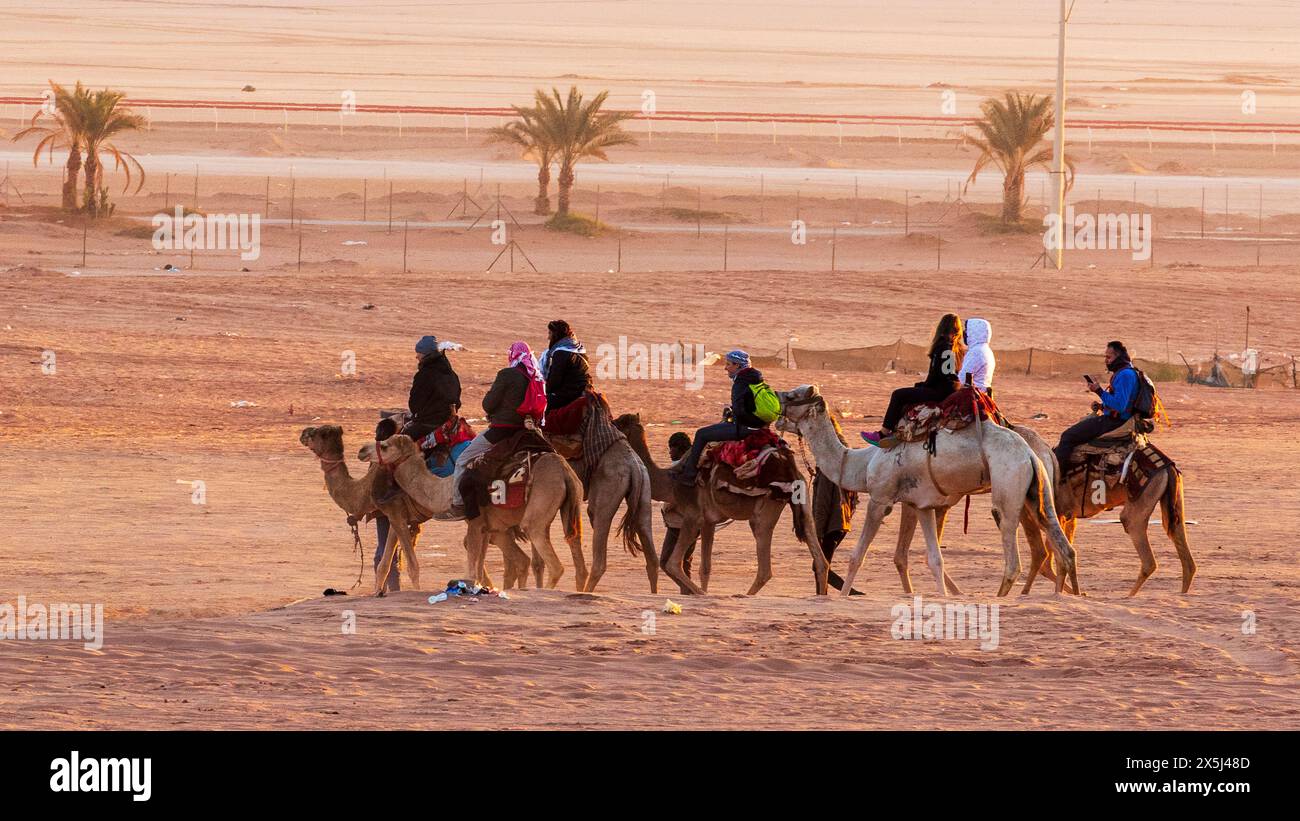 Jordan, Wadi Rum. Valley of the Moon, camel transportation in the ...
