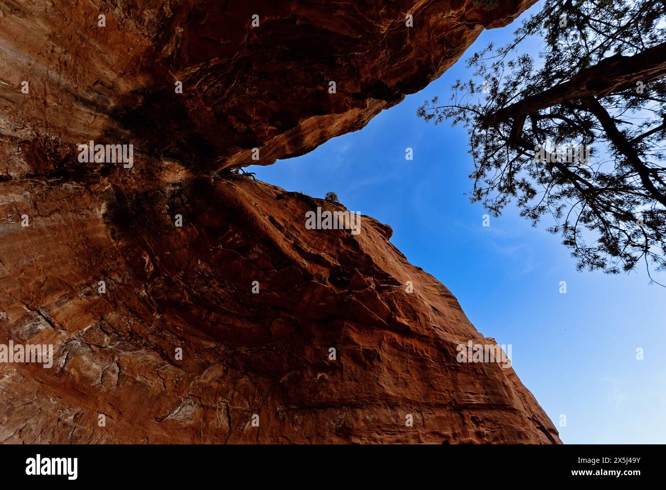 Abstract Image of Cave Opening, Sky and Tree Stock Photo - Alamy