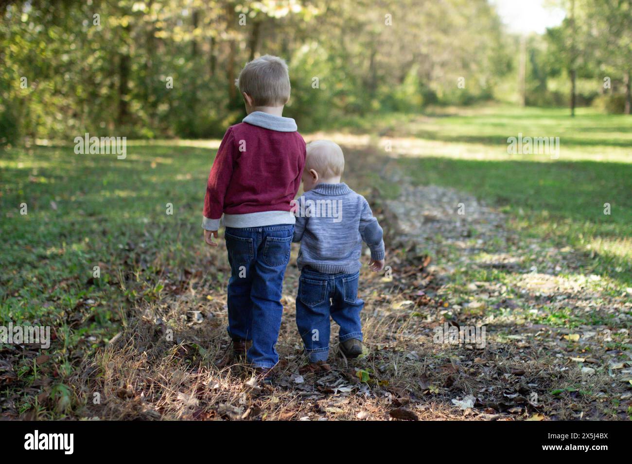 Toddlers Walking Hand-in-Hand Through Forest Path Stock Photo - Alamy