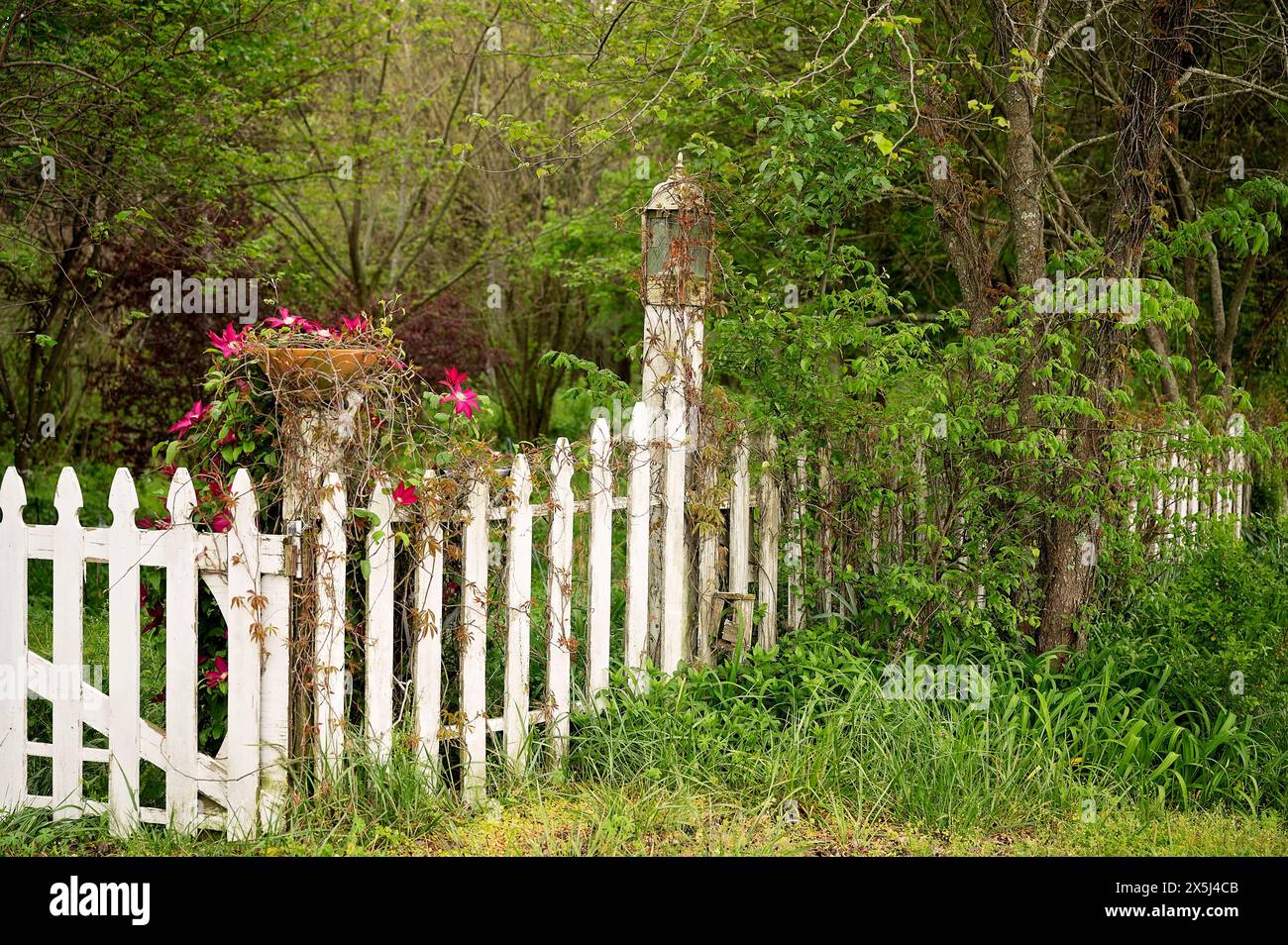 Rustic Garden Fence With Flowers 30 Arbor, Trellis, & Obelisk Ideas