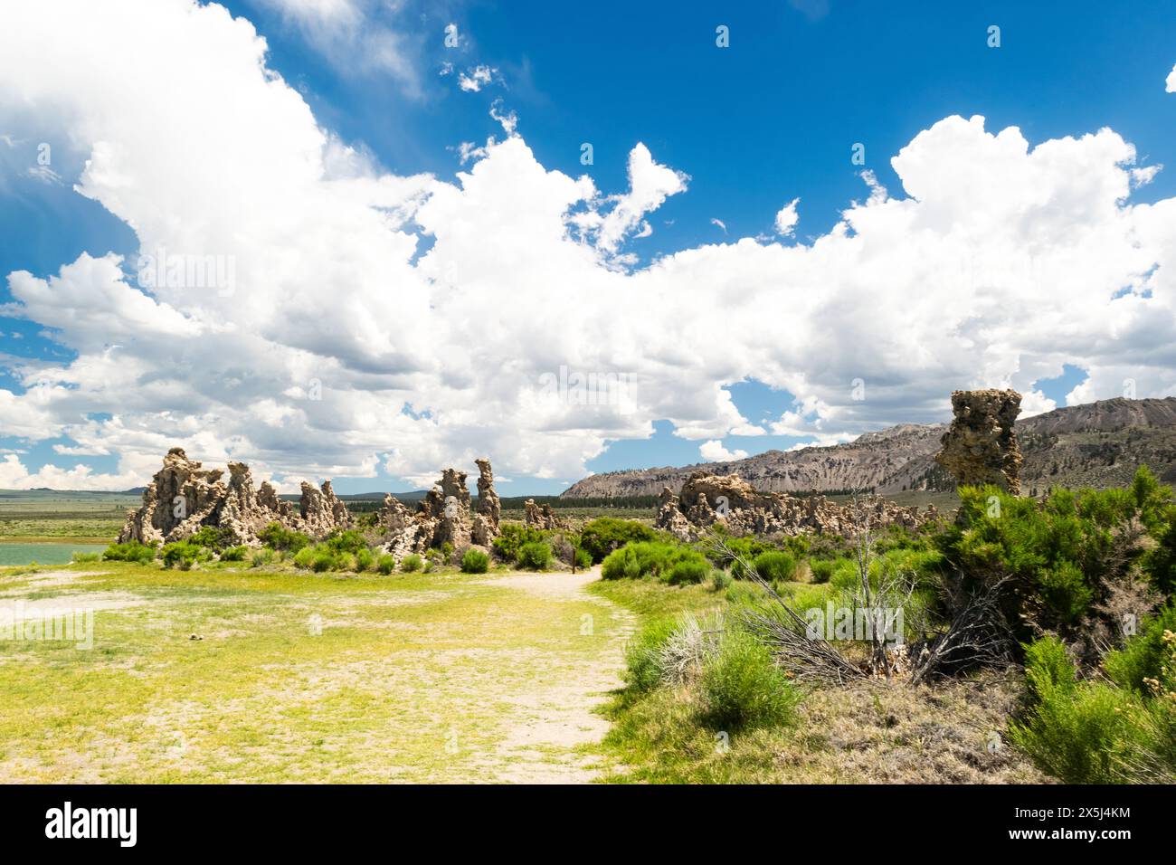 Vibrant landscape of Mono Lake tufa formations under blue skies! Stock ...