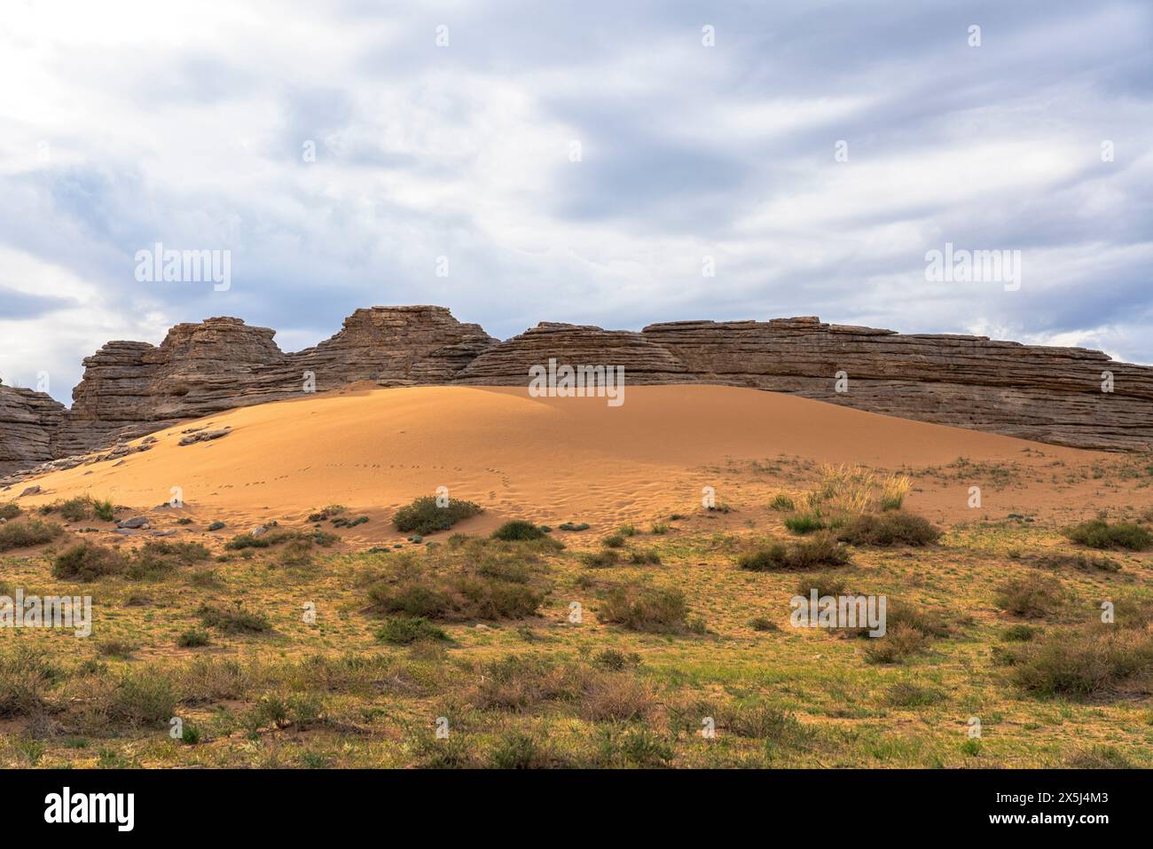 Asia, Mongolia, Eastern Gobi Desert. Rock formations abound with small ...