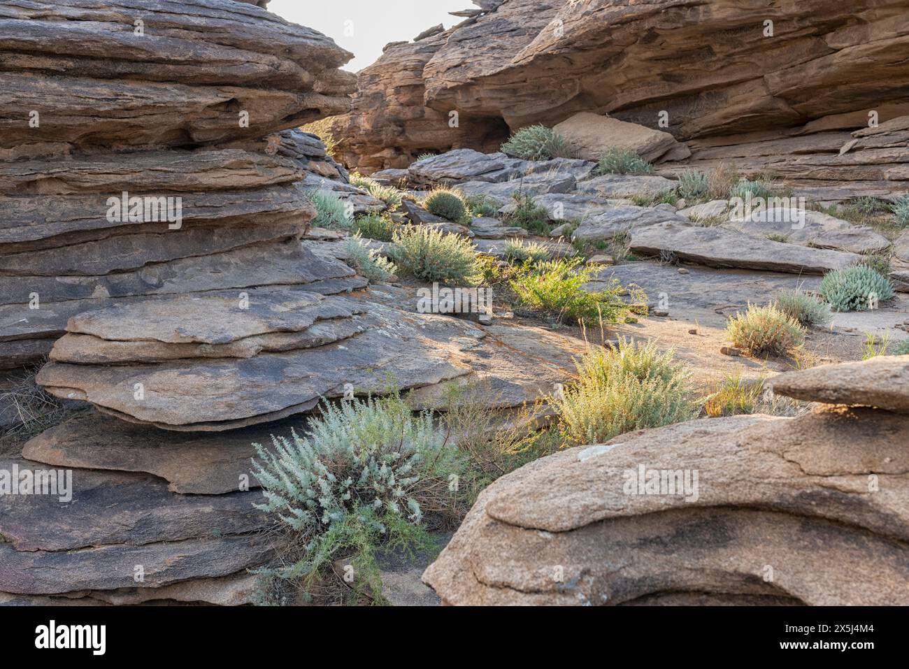 Asia, Mongolia, Eastern Gobi Desert. Rock formations, sculpted by wind ...