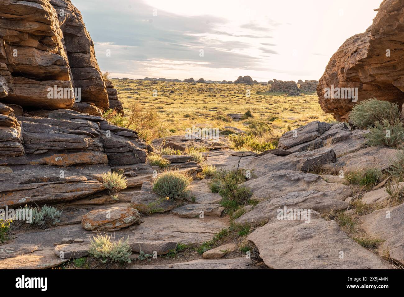 Asia, Mongolia, Eastern Gobi Desert. Rock formations, sculpted by wind ...