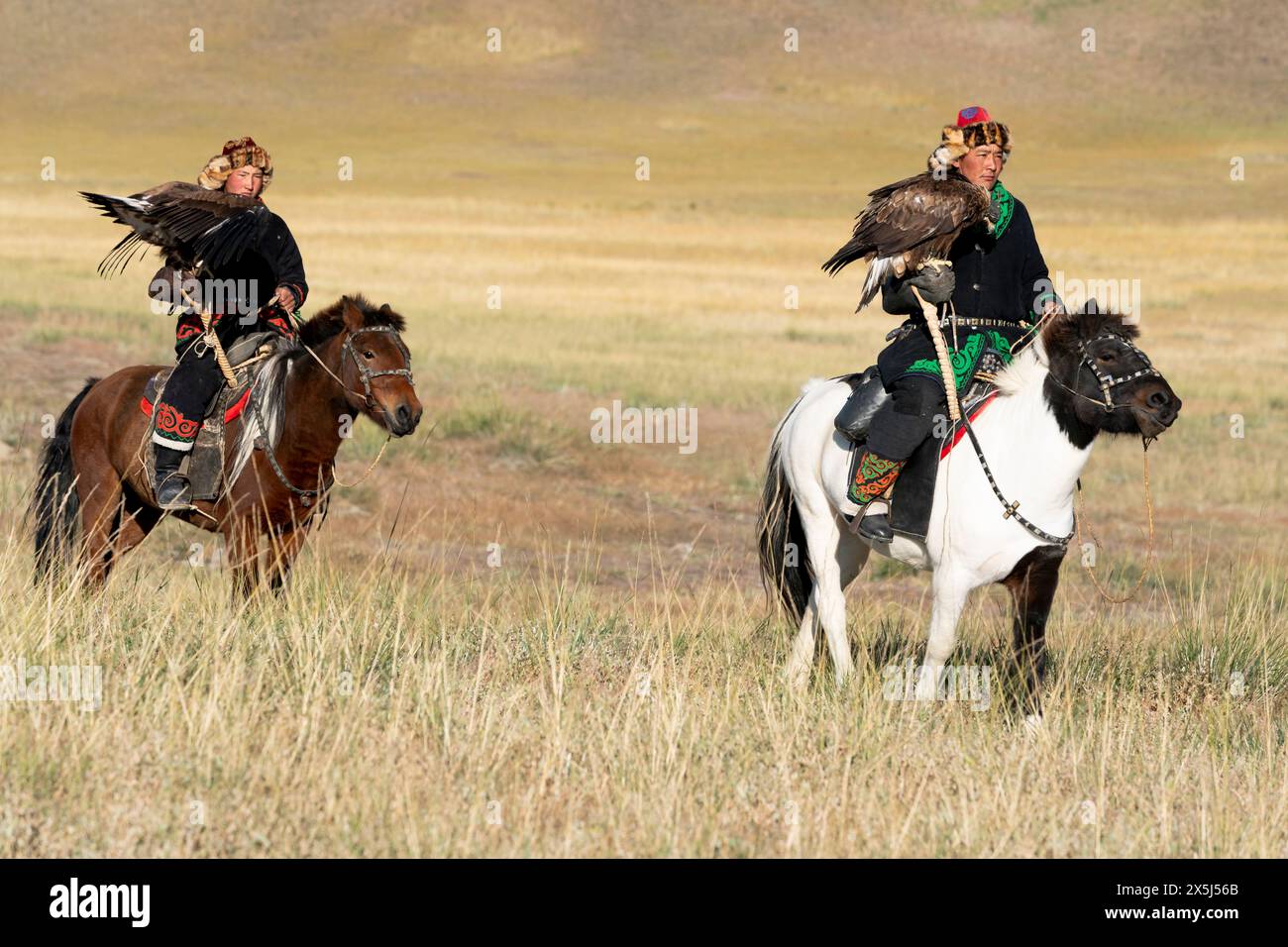 Asia, Mongolia, Bayan-Olgii Province. Altai Eagle Festival, Kazakh man ...