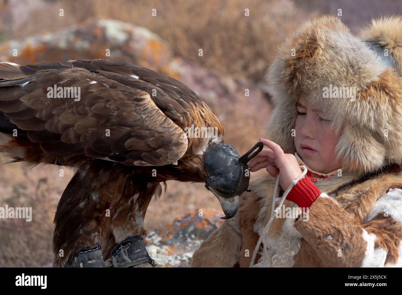 Asia, Mongolia, Bayan-Olgii Province. Altai Eagle Festival, young ...