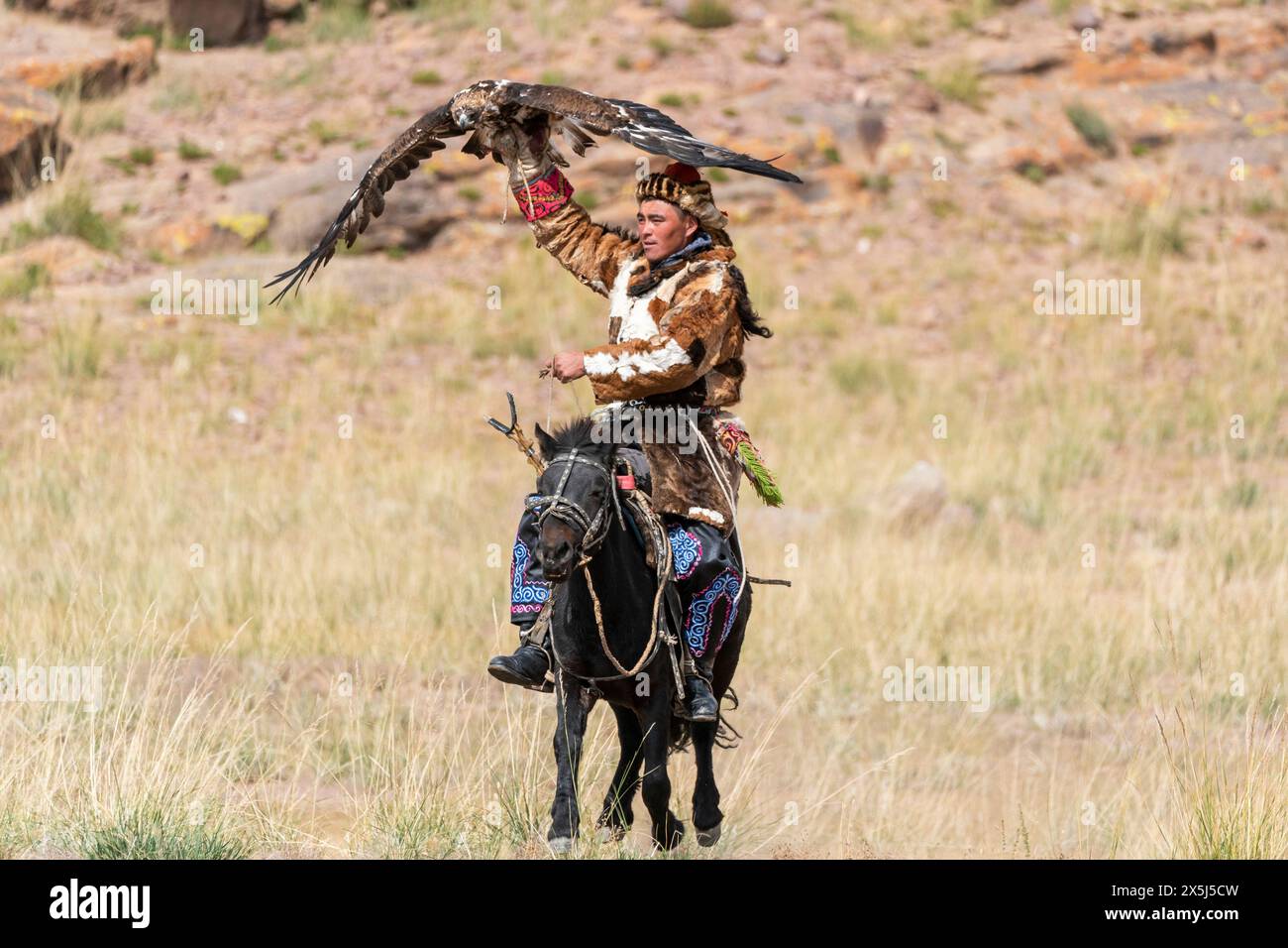Asia, Mongolia, Bayan-Oglii Province. Altai Eagle Festival, Kazakh ...