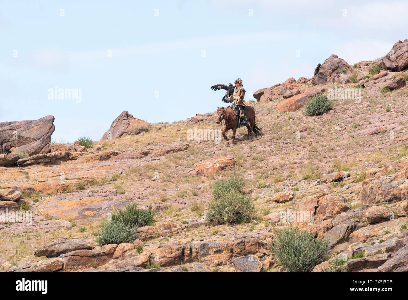 Asia, Mongolia, Bayan-Oglii Province. Altai Eagle Festival, eagle ...