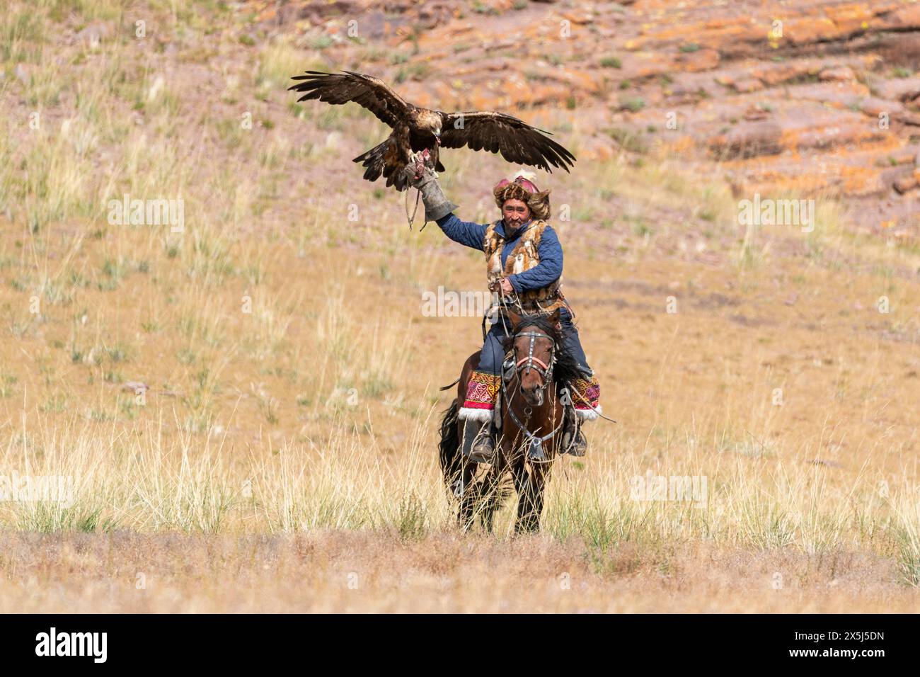 Asia, Mongolia, Bayan-Oglii Province. Altai Eagle Festival, Kazakh ...