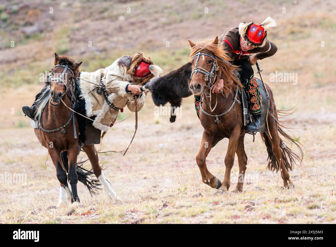 Asia, Mongolia, Bayan-Olgii Province. Altai Eagle Festival, Buzkashi is ...