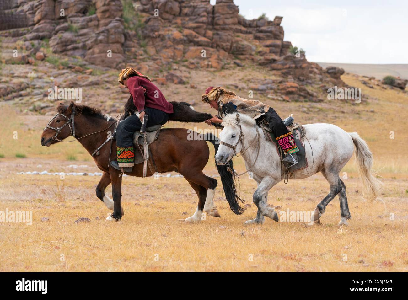Asia, Mongolia, Bayan-Olgii Province. Altai Eagle Festival, Buzkashi is a game where two men on ...