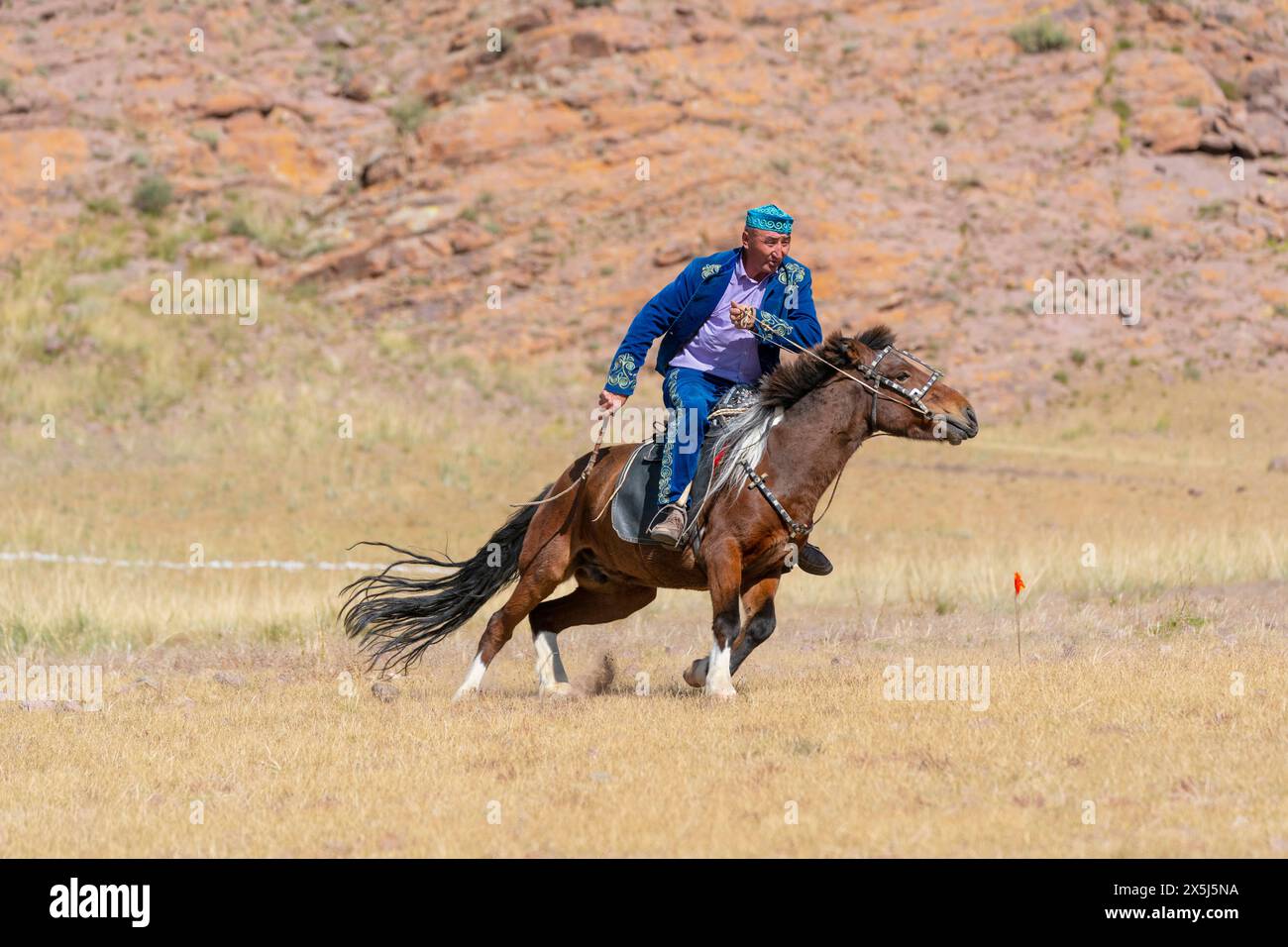 Asia, Mongolia, Bayan-Oglii Province. Altai Eagle Festival, a man shows ...