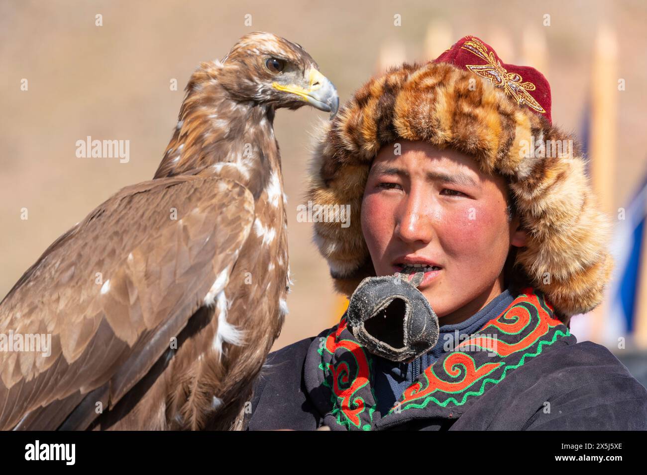 Asia, Mongolia, Bayan-Oglii Province. Altai Eagle Festival, young ...