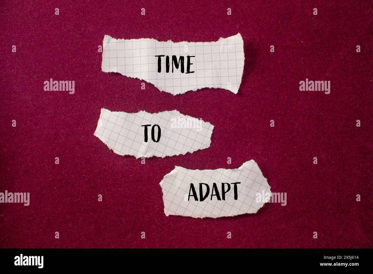 Time to adapt written on ripped white paper pieces with purple ...