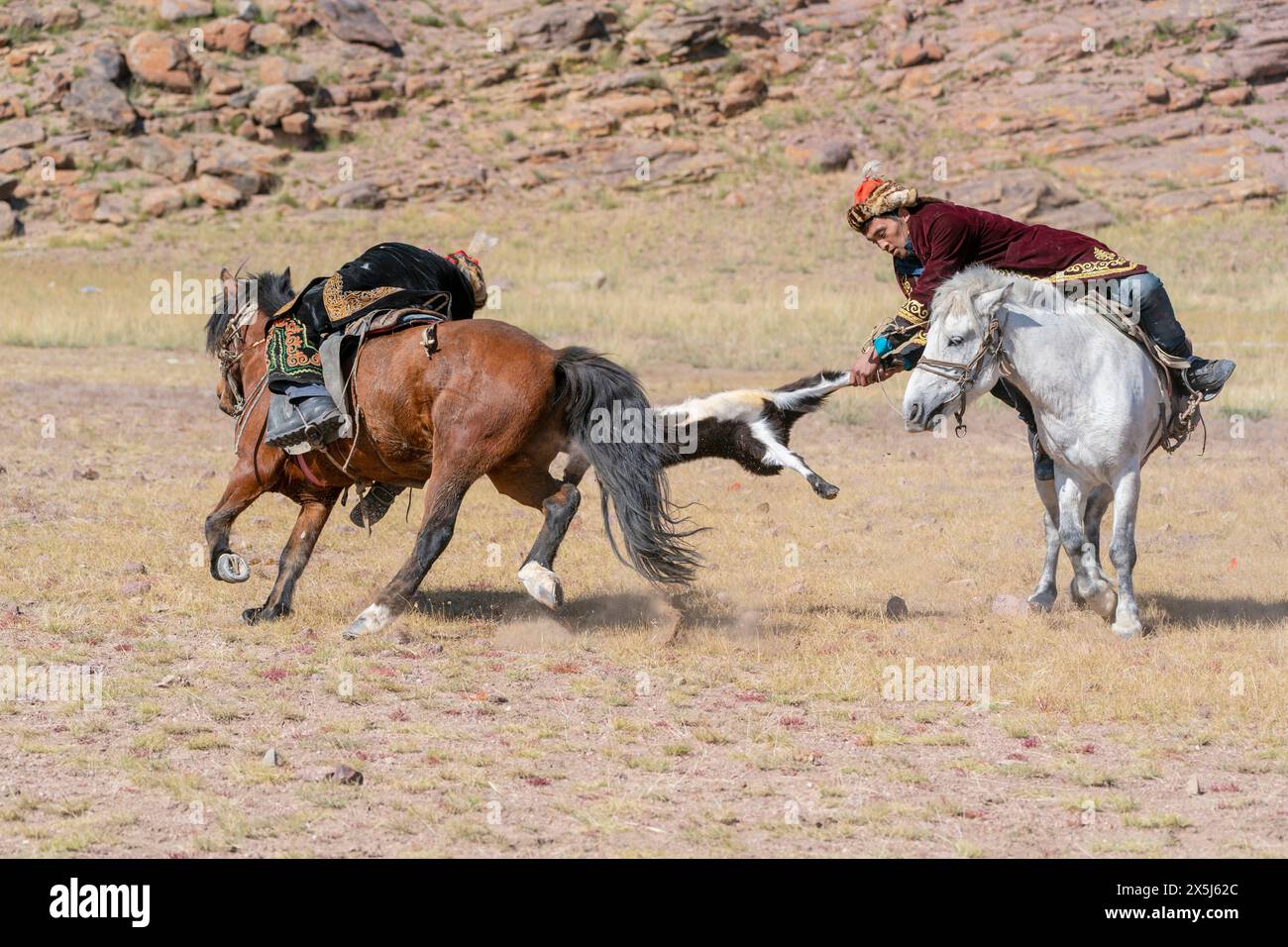 Asia, Mongolia, Bayan-Oglii Province. Altai Eagle Festival, two men on ...