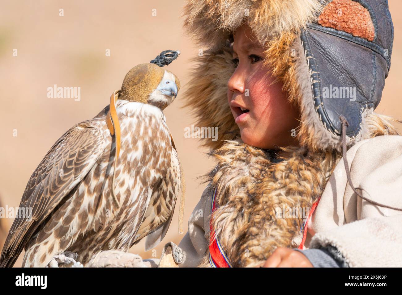 Asia, Mongolia, Bayan-Oglii Province. Altai Eagle Festival, young ...
