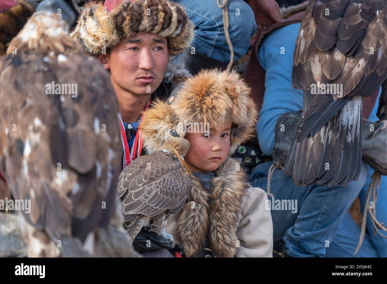 Asia, Mongolia, Bayan-Oglii Province. Altai Eagle Festival, young ...