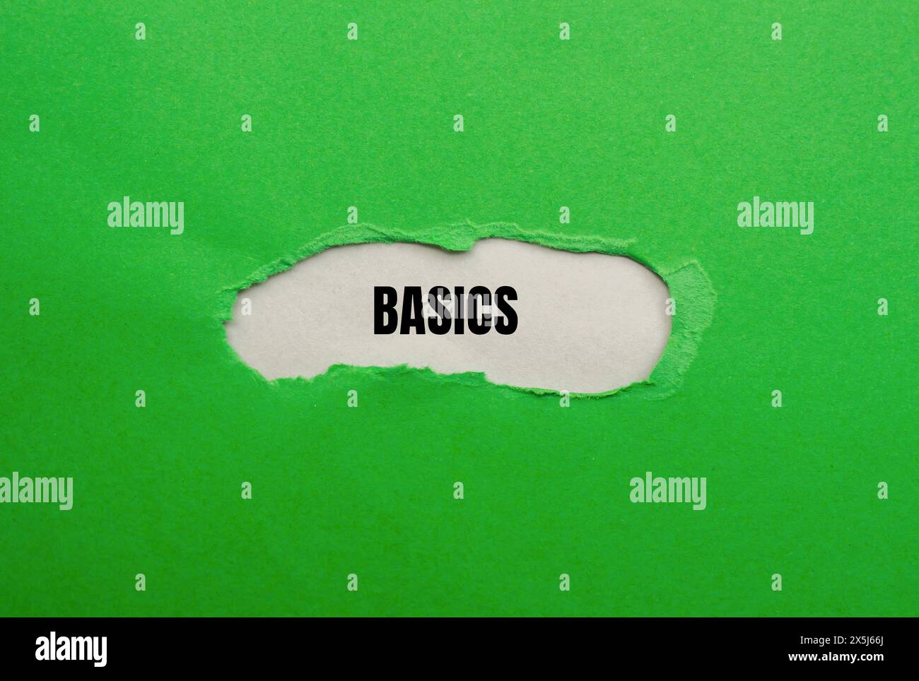 Basics word written on ripped green paper with gray background ...