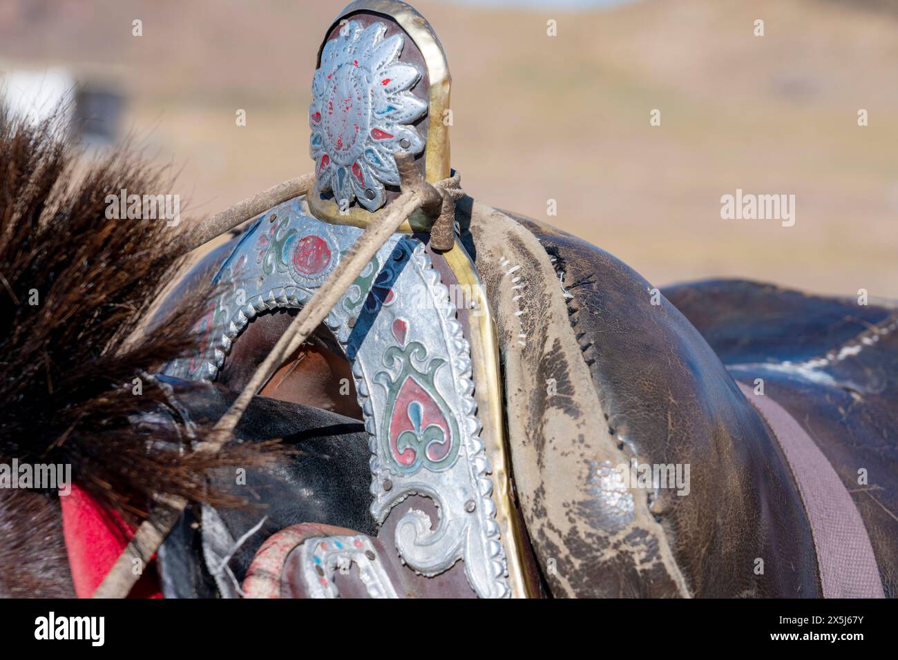 Asia, Mongolia, Bayan-Oglii Province. Altai Eagle Festival, details of ...