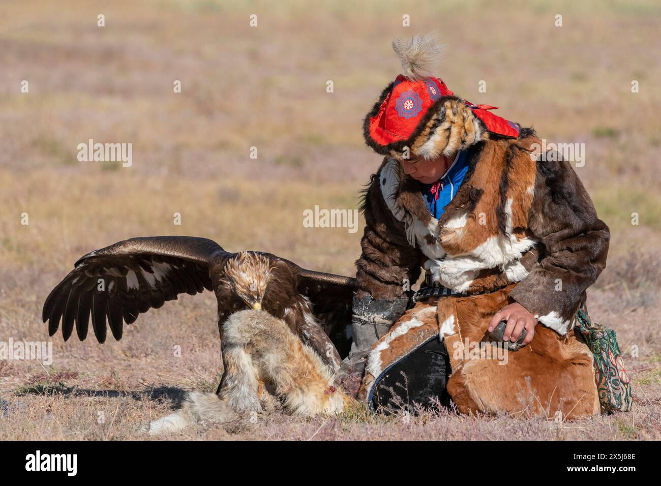 Asia, Mongolia, Bayan-Olgii Province, Kazakh Tribe. A Kazakh eagle ...