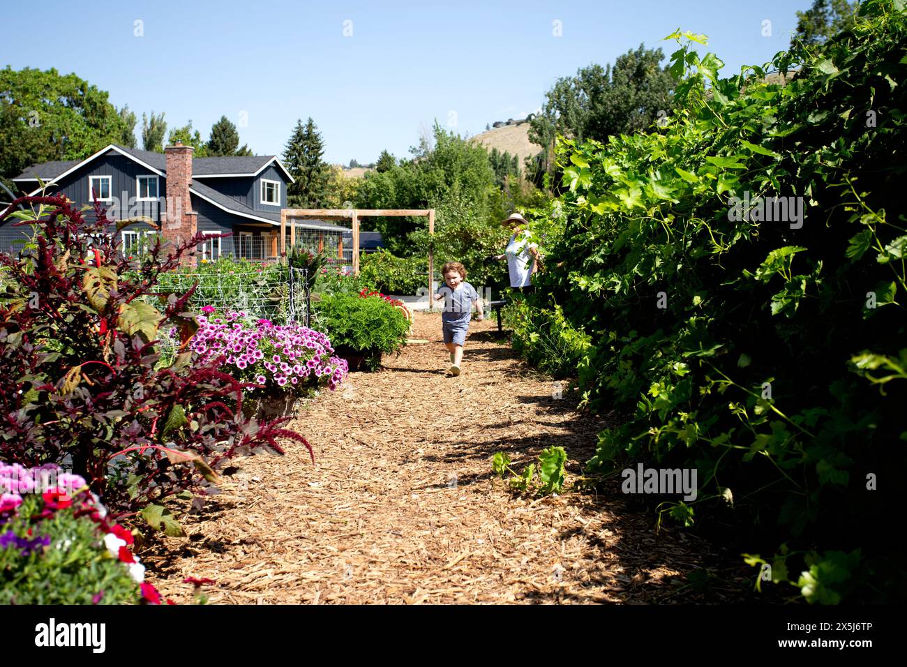 Summer fun in the garden Stock Photo - Alamy