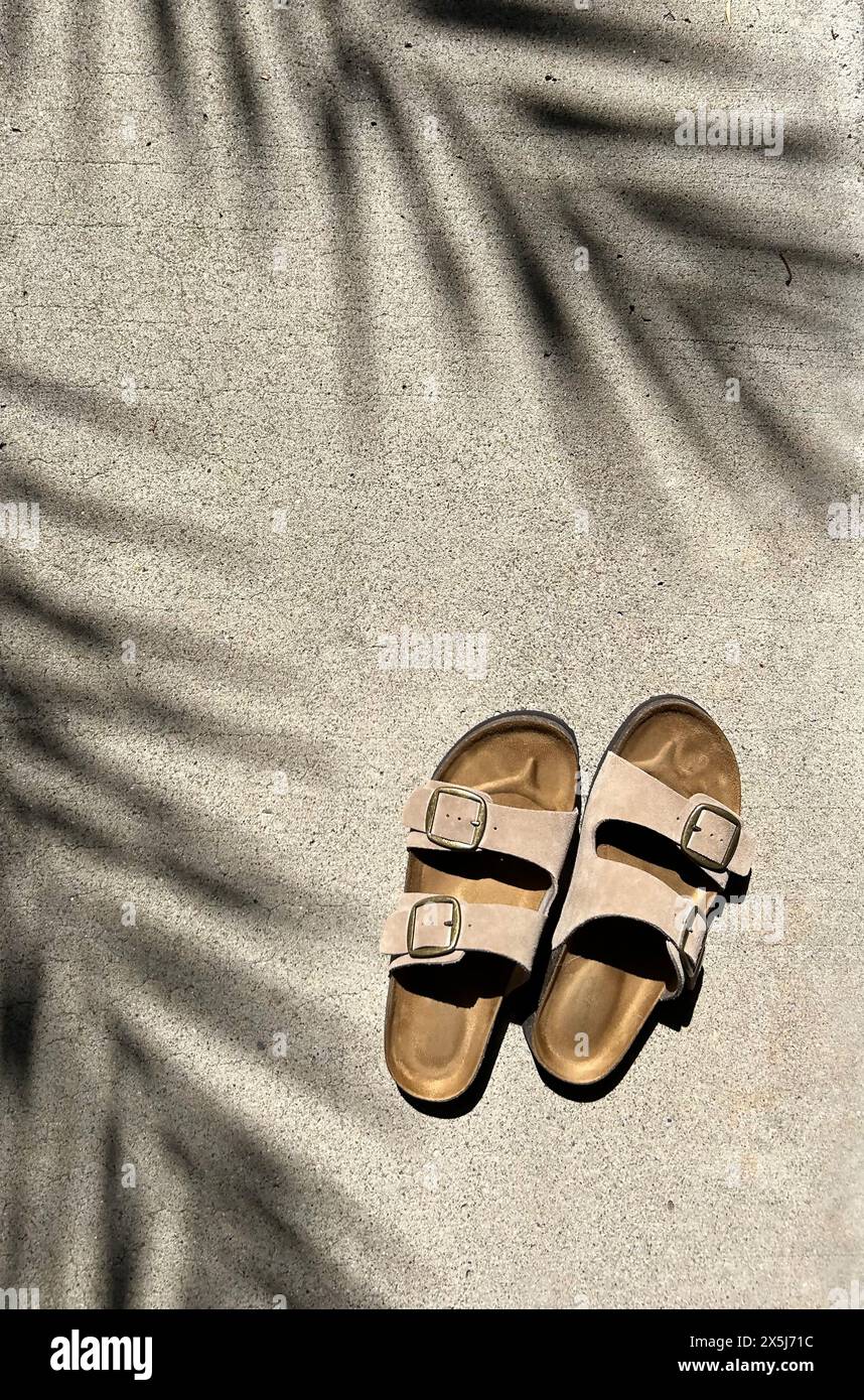 Taupe Buckled Sandals with Palm Tree Shadow Outside Stock Photo - Alamy