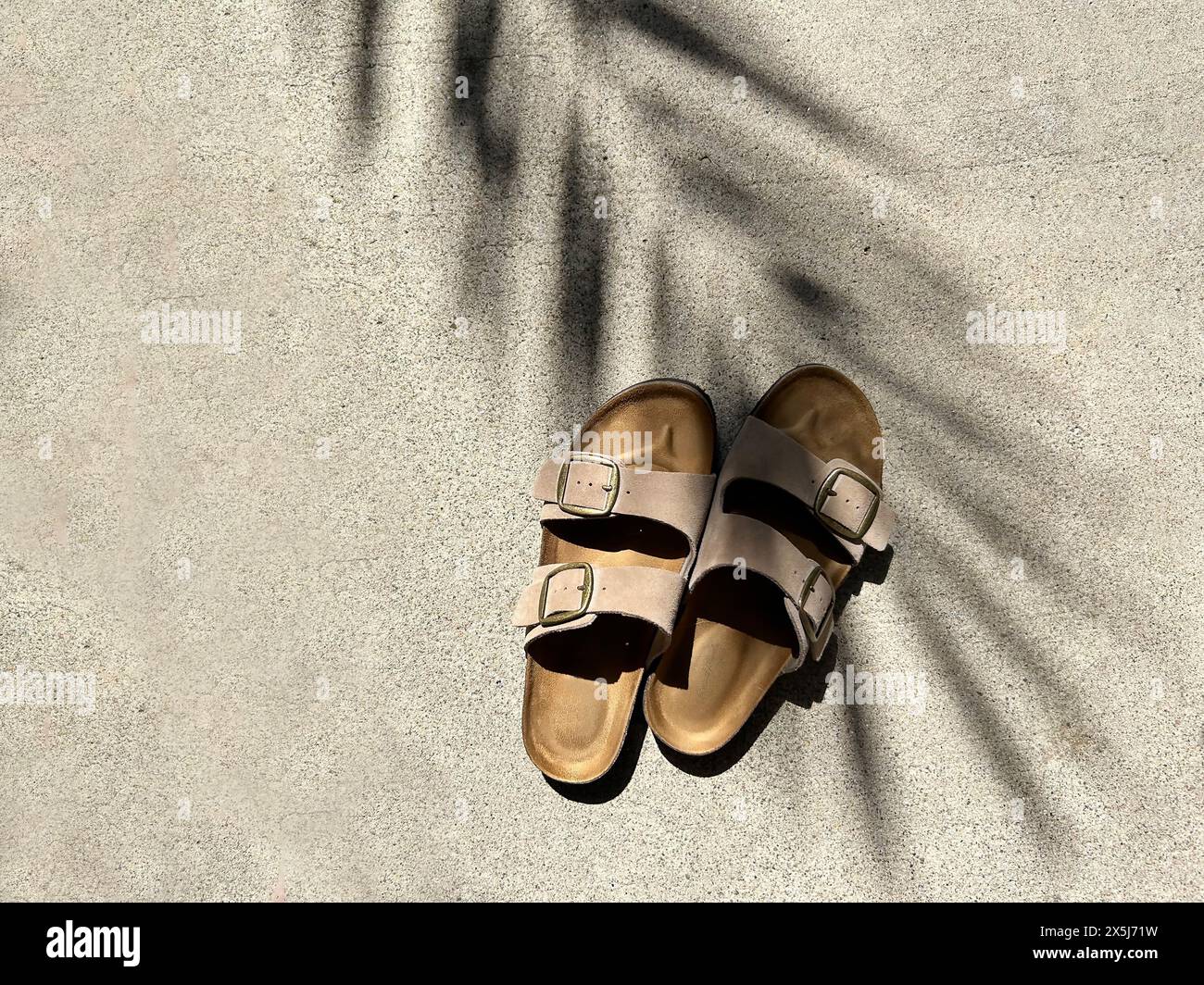 Taupe Buckled Sandals with Palm Tree Shadow Outside Stock Photo - Alamy