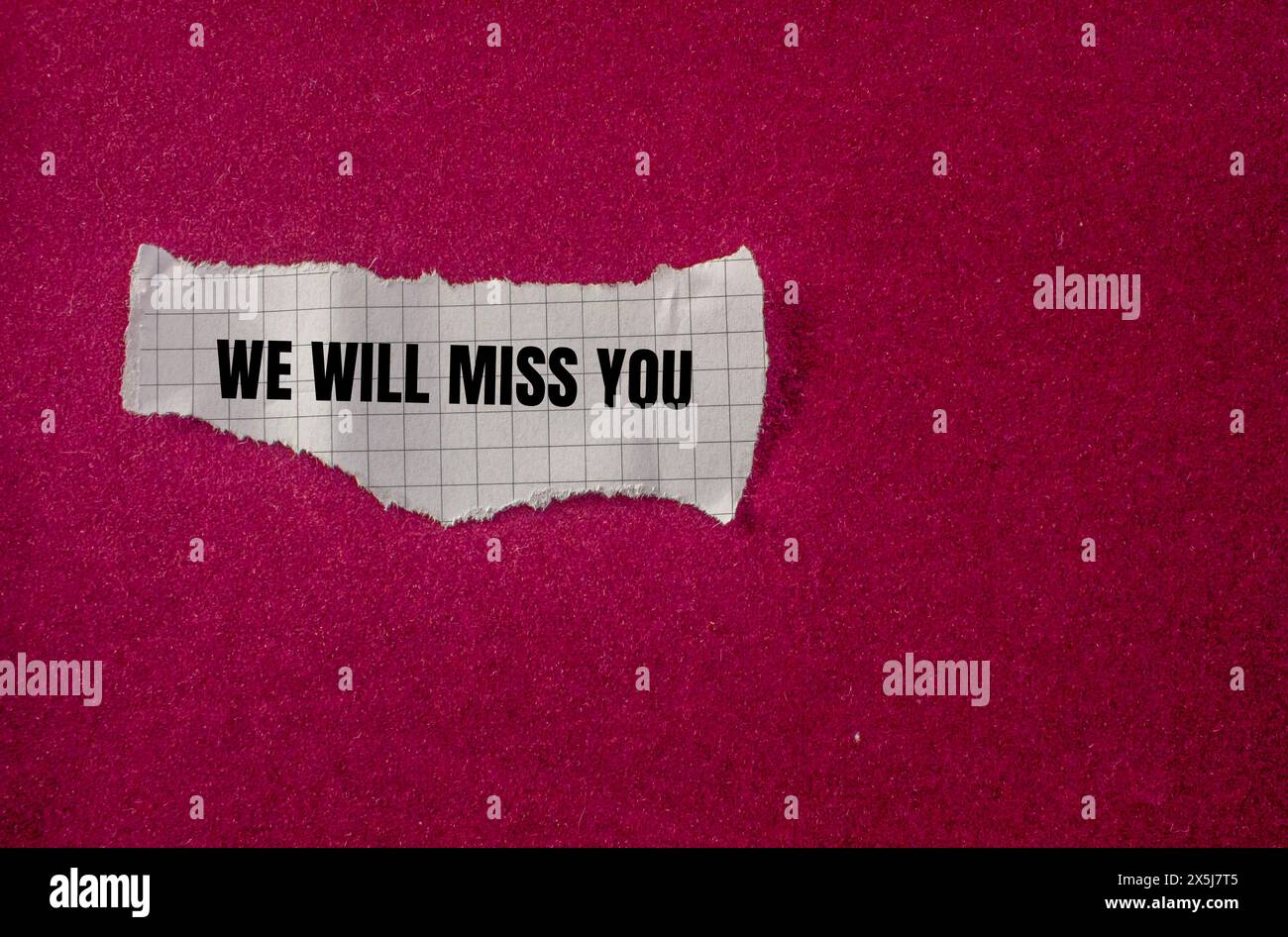 We will miss you words written on torn paper piece with purple background. Conceptual we will ...
