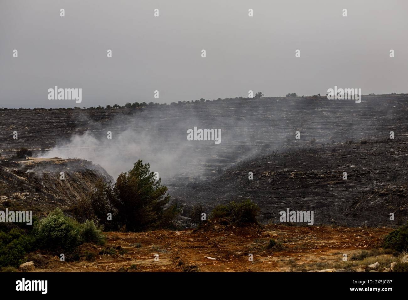 Ipsoas hi-res stock photography and images - Alamy