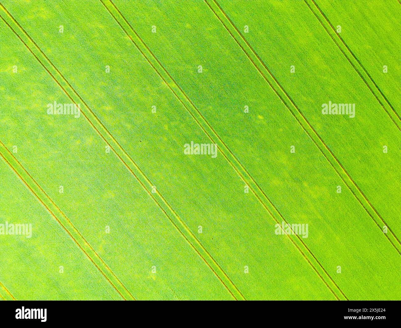 An aerial view of vibrant green fields showcasing the harmony between ...