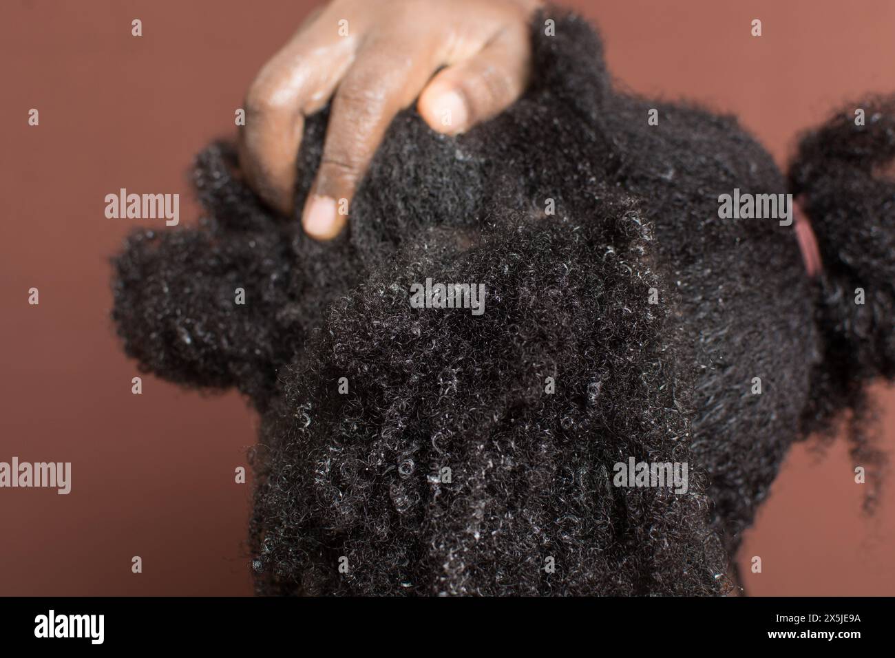 Black afro curly hair with shrinkage, Wet Type 4c hair being detangled ...