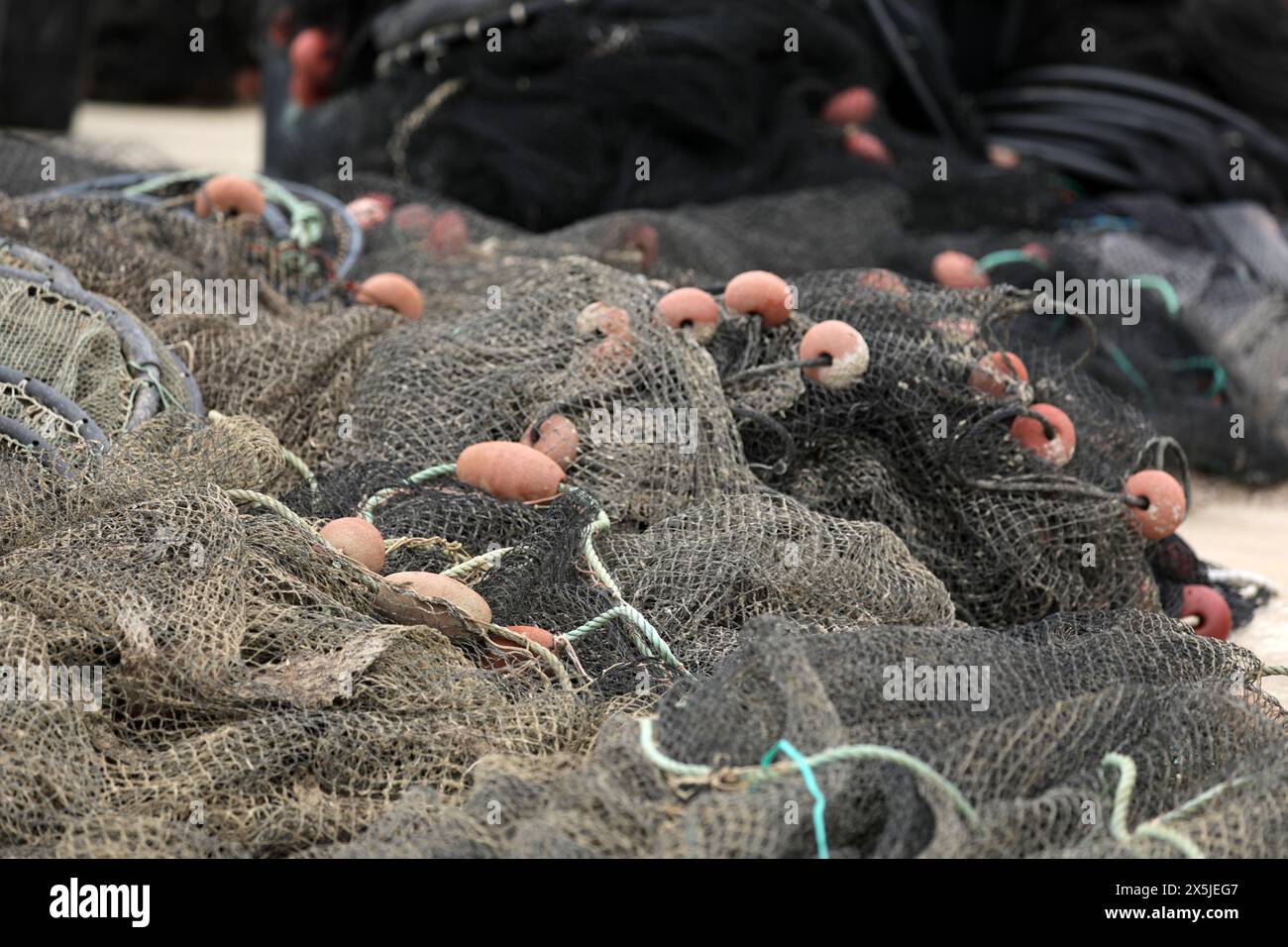 Fishing net in the harbor Stock Photo - Alamy