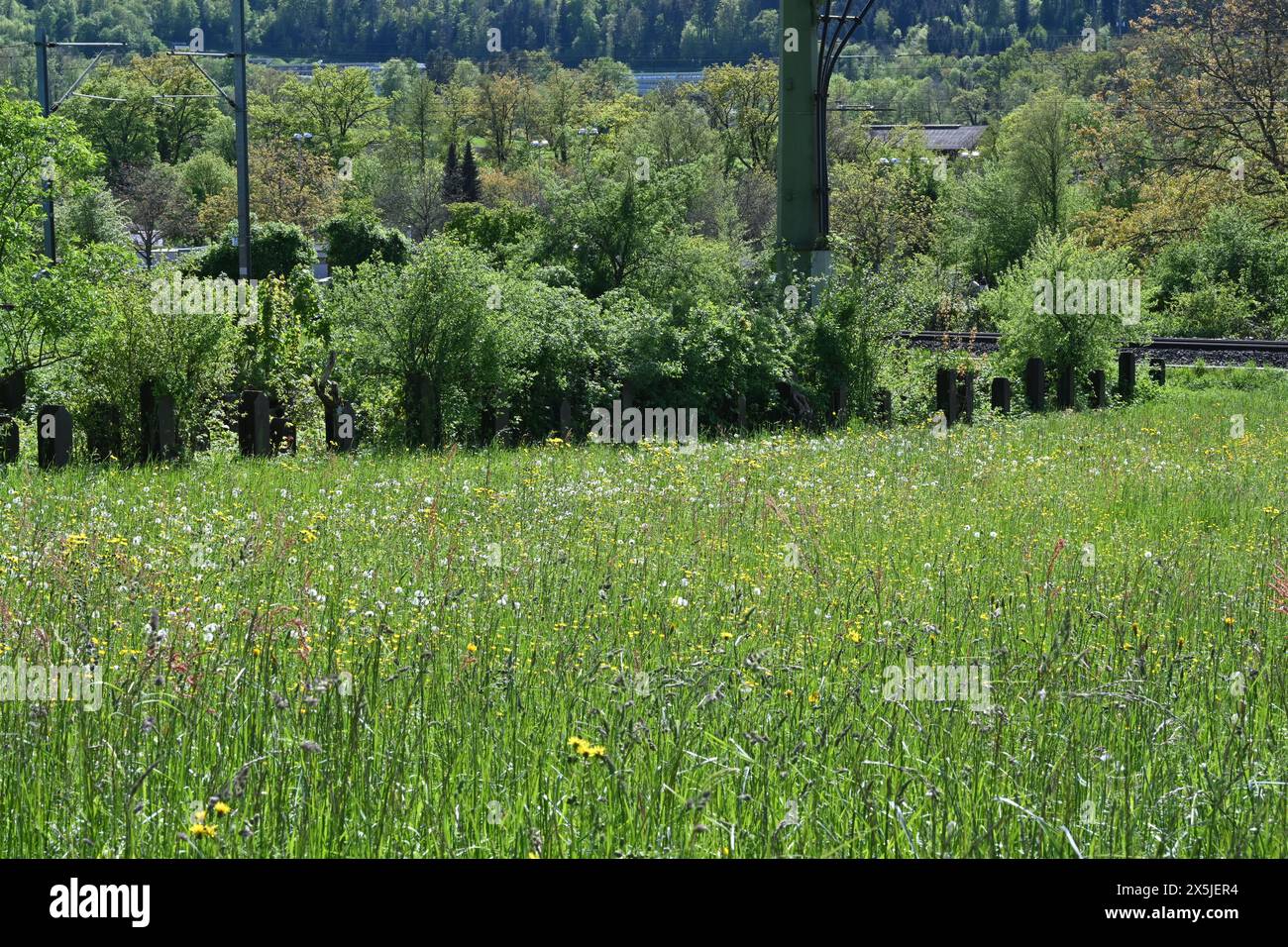 Partly hidden metal rails in a row used as military fortified ...