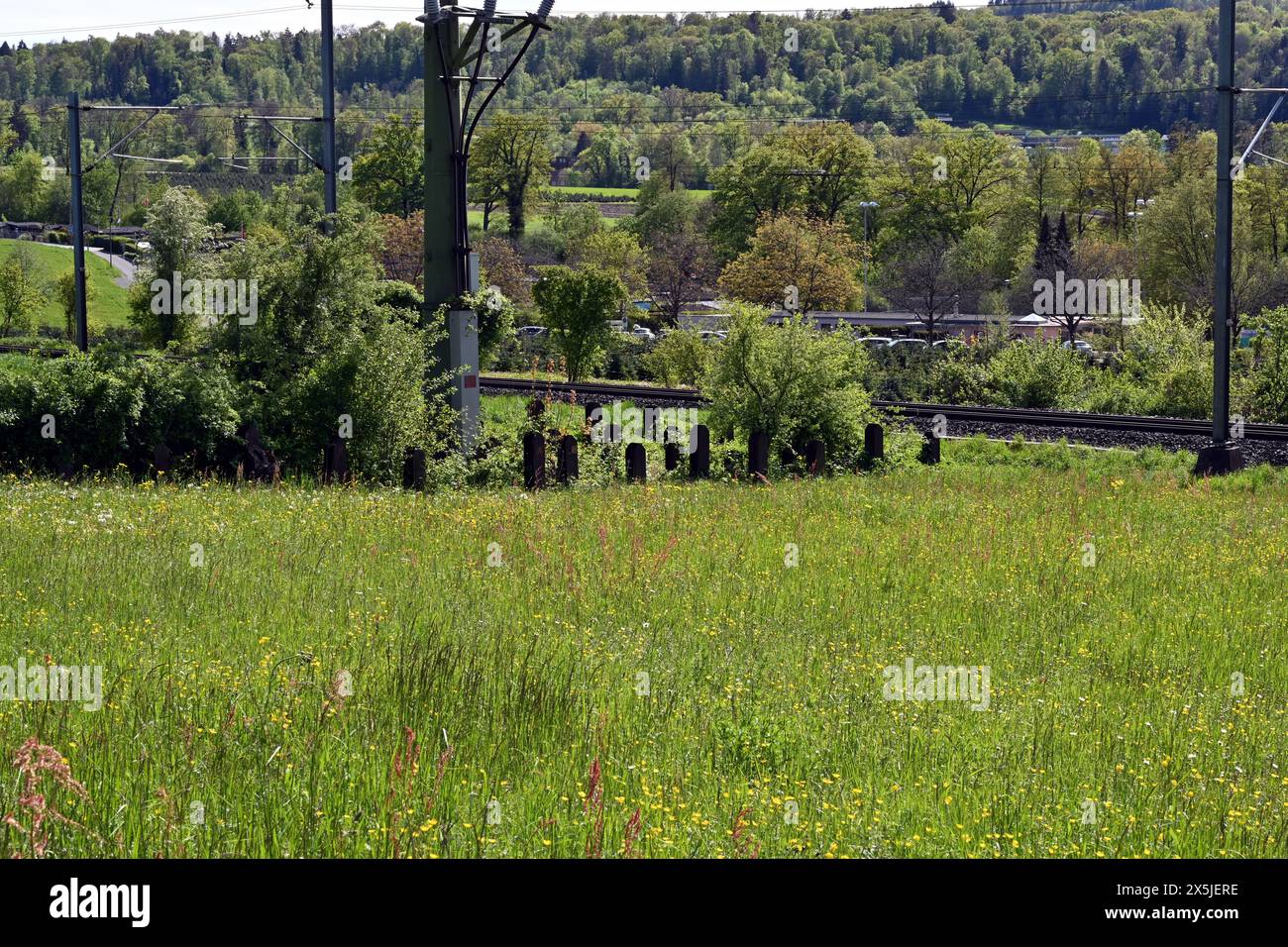 Metal rails in a row used as military fortified protection and anti ...