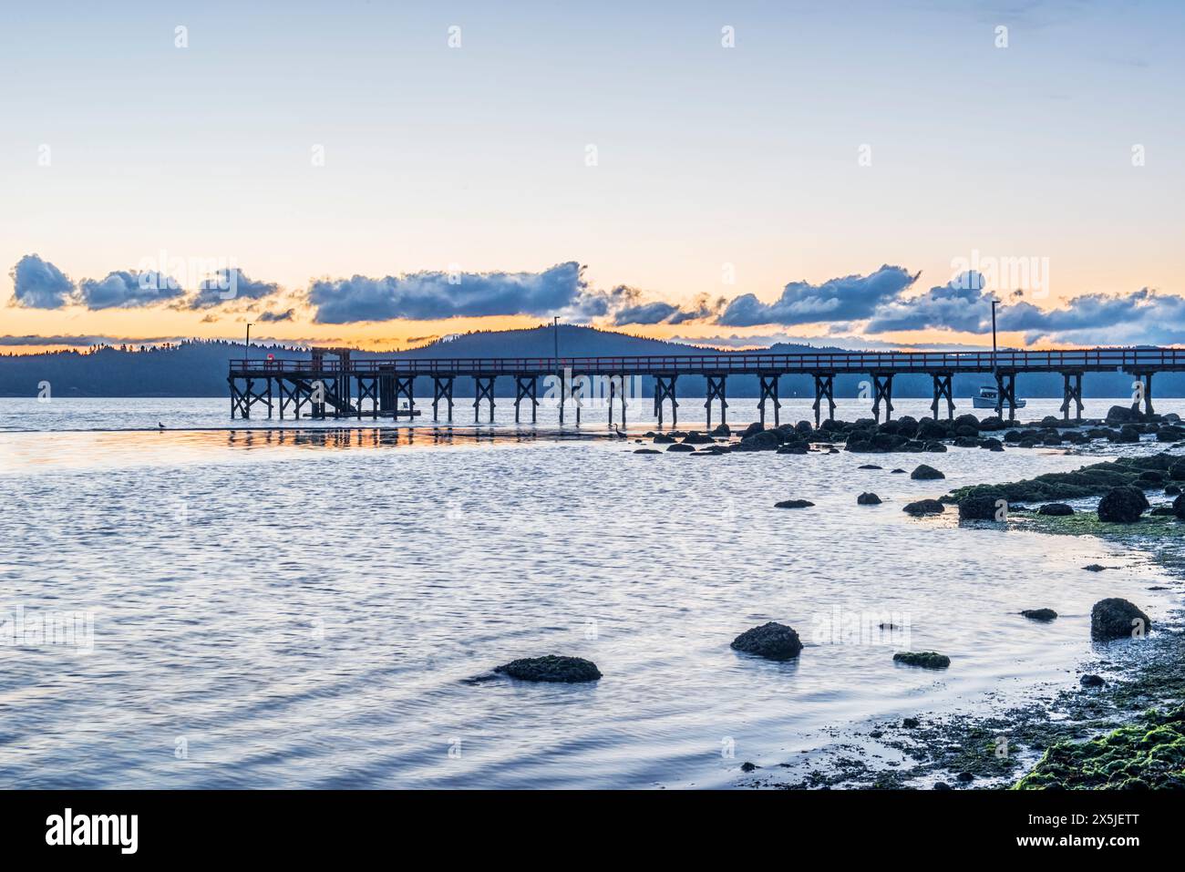 Canada, British Columbia. Salt Spring Island, Fernwood Dock at dawn ...