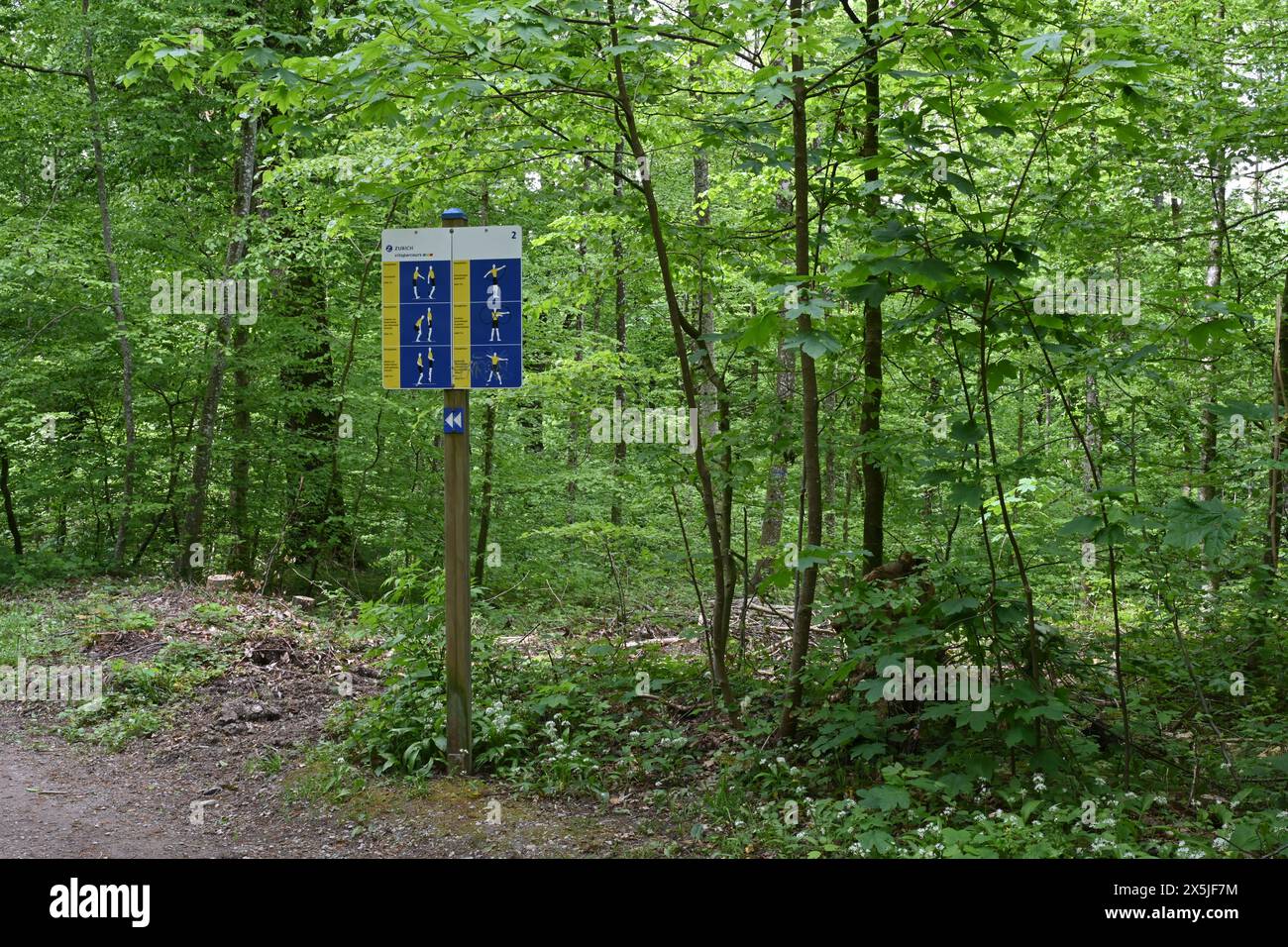 Obstacle course marked with pictures used for exercises and other ...