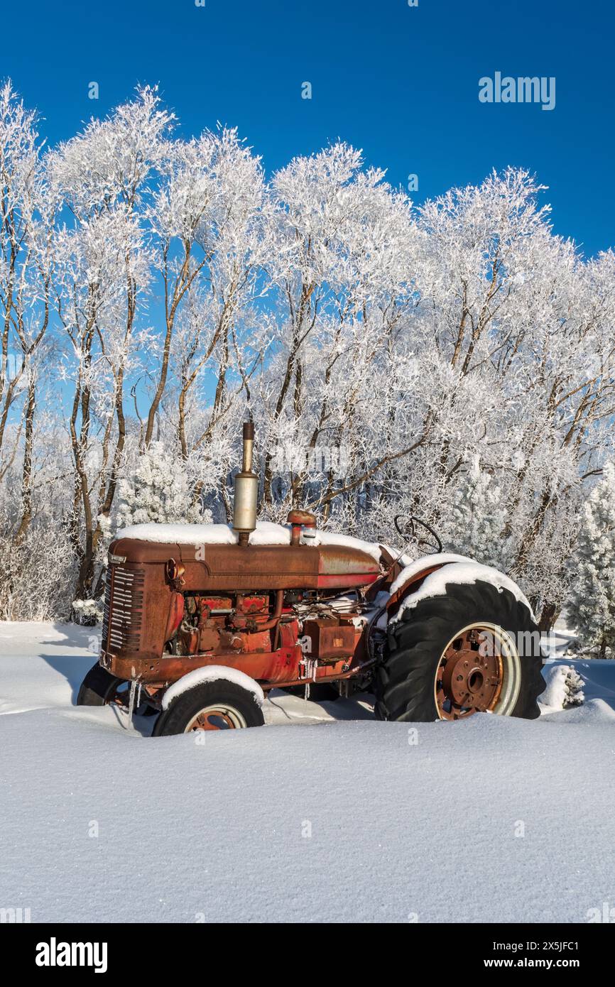 Canada, Manitoba. Vintage tractor and trees covered with rime ice Stock ...