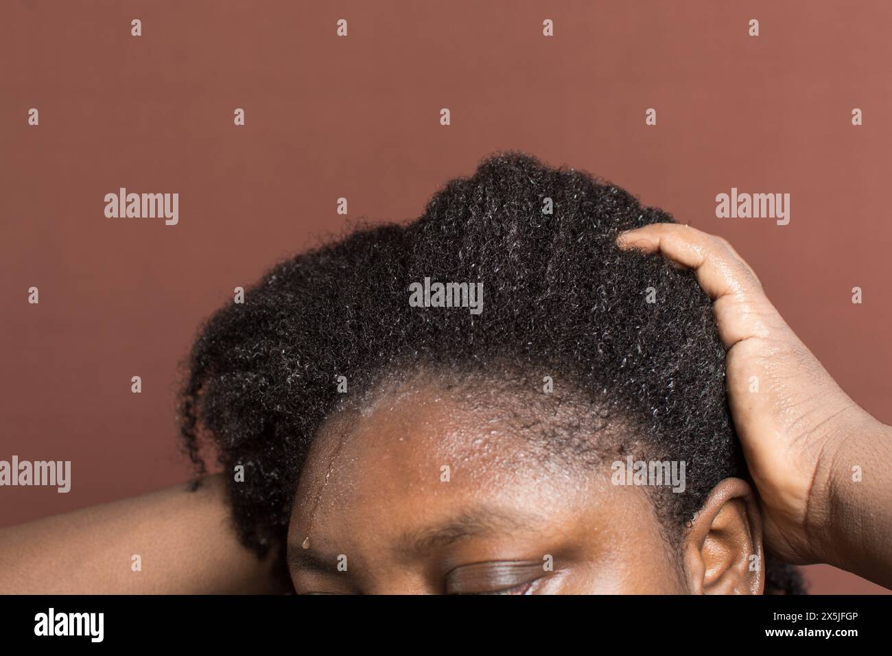 Black afro curly hair with shrinkage, Wet Type 4c hair being detangled ...