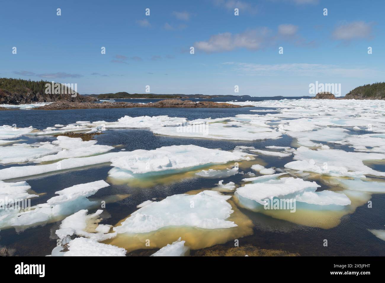 Labrador sea newfoundland hi-res stock photography and images - Alamy