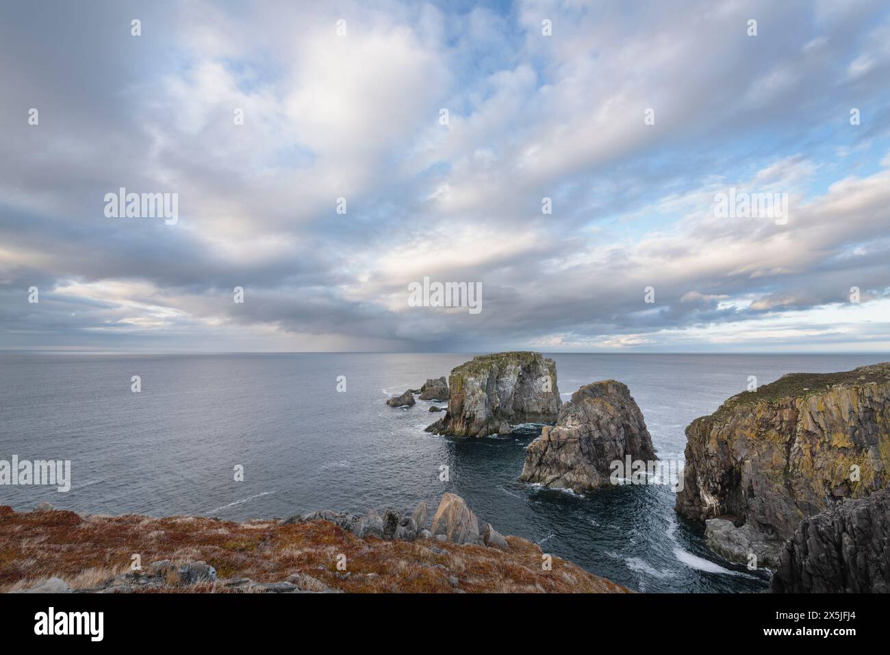 Spillars cove newfoundland hi-res stock photography and images - Alamy