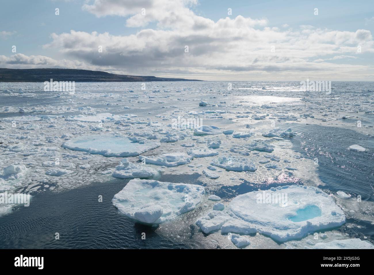 Pack ice and icebergs in Strait of Belle Isle, Newfoundland and ...