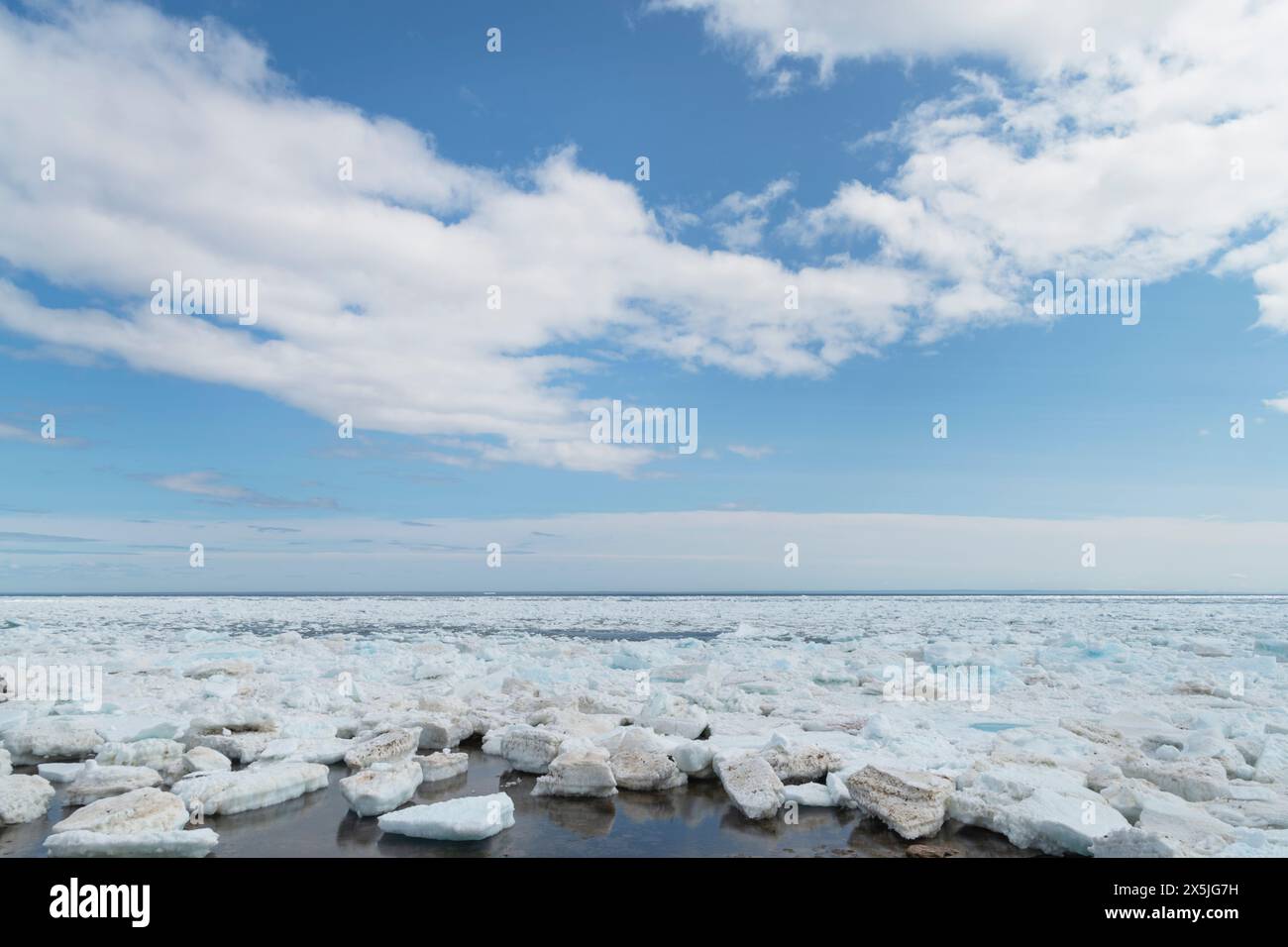 Pack ice in Strait of Belle Isle along the south coast of Labrador ...